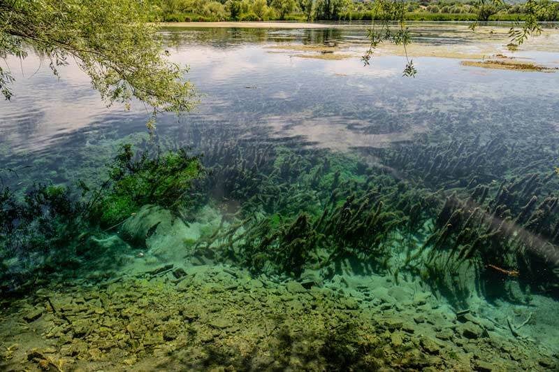 Understanding Fresh Water: definition and significance