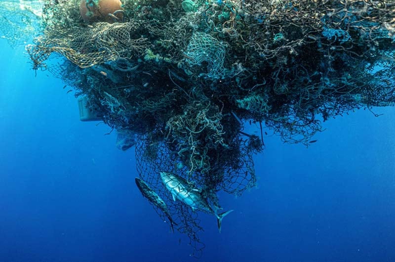 Plastic islands – what they are and how not to feed them