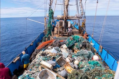 Plastic islands – what they are and how not to feed them